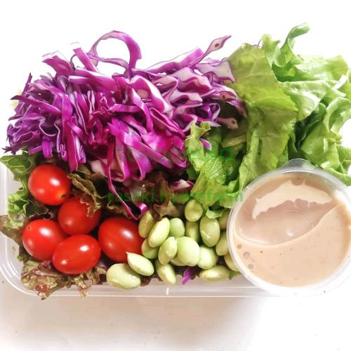 Jual salad sayur mix dressing fresh large - Kota Bogor - rasaki ...