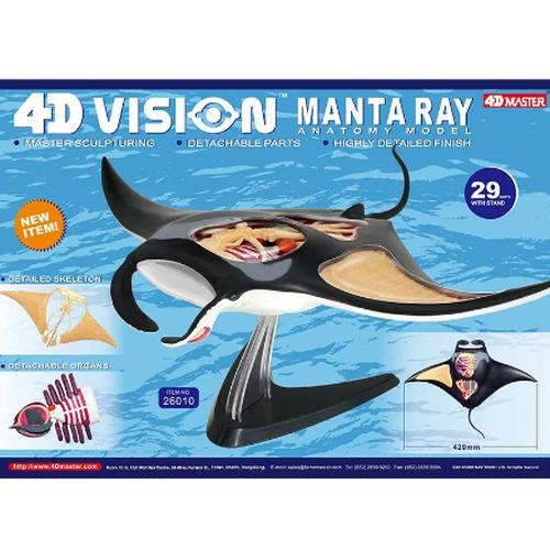 Jual 4D Model Anatomi Organ Hewan Perlengkapan Sains Populer DIY ...