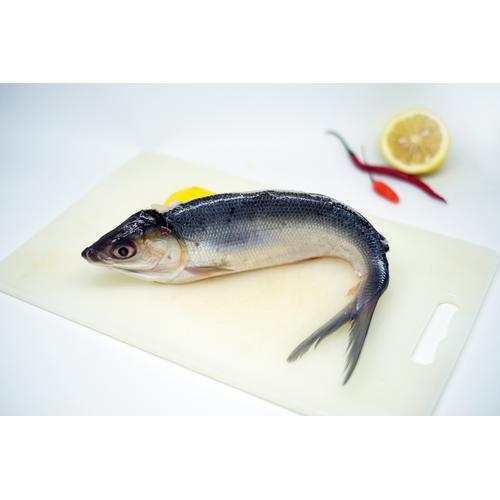 Jual Bandeng Cabut Duri (Milk Fish) 350 Gram - 350 gr - Jakarta Pusat ...