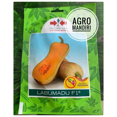 Jual Benih Labu Madu F1 isi 10 Butir Butternut Squash Cap Panah Merah ...