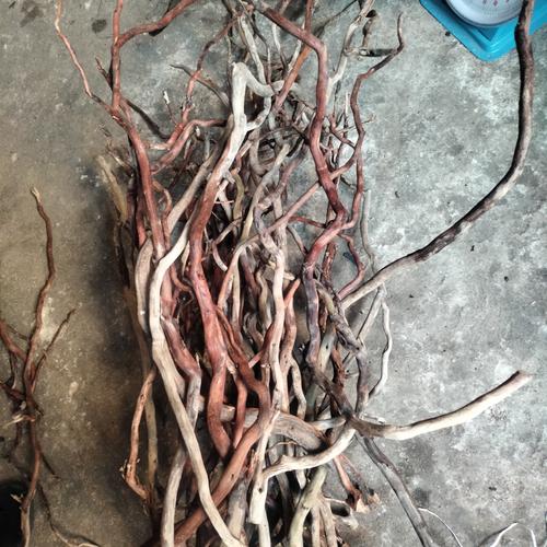 Jual akar santigi laut / akar aquascape aquarium / random 30 sd 60 cm ...