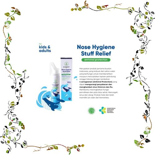 Jual BIGROOT Nose Hygiene Stuff Relief Ultra Gentle Baby 50ml - Stuff ...
