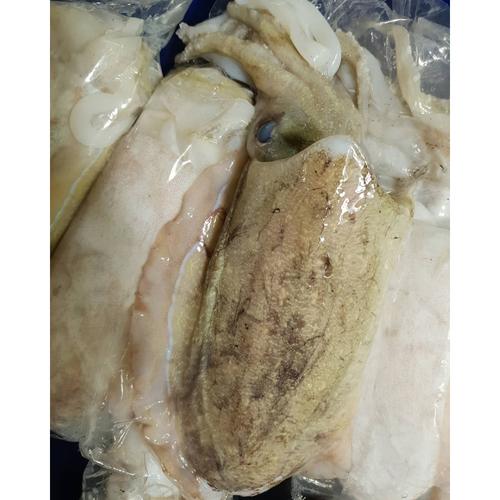 Jual Balakutak Segar Fresh Balakutak Hitam Ikan Sotong Cuttle Fish 1Kg - Jakarta Utara ...