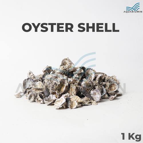 Promo Oyster Shell / Kulit Kerang Media Filter / pH Buffer Aquarium ...