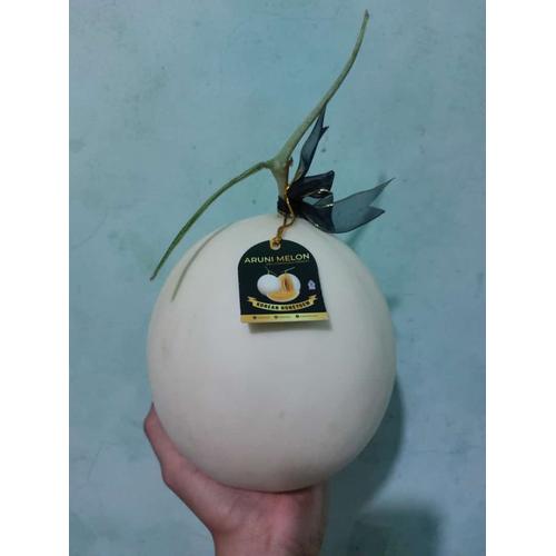 Jual Buah Melon Aruni Premium - Besar - Kota Semarang - CMF Fruit Shop ...
