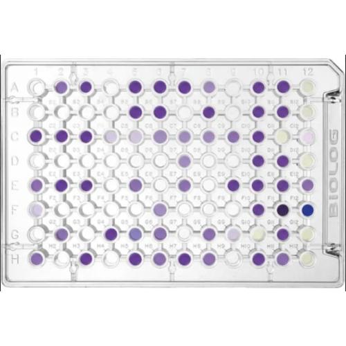 Jual Gen III Microplate - Microbial Identification Test Panel - Jakarta ...
