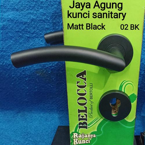 Jual Handle Gagang Kunci Pintu Rumah Pisah Stainless alis hitam ...