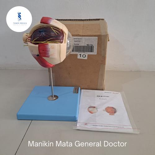 Jual Phantom Manikin Mata General Doctor / Manekin Mata GD - Jakarta ...