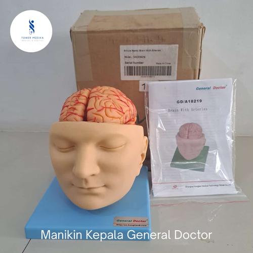 Jual Phantom Manikin Kepala General Doctor / Manekin Kepala GD ...
