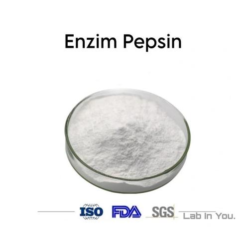 Jual Enzim Pepsin Food Grade 38 Gram/ Pepsin Powder Food Grade - Kab ...