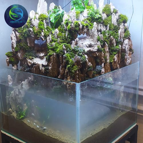 Jual Aquascape paludarium tema gunung 60 x 60 x 80 cm - Jakarta Selatan ...