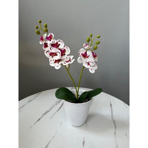 Jual Bunga Artifical Anggrek Putih Totol Tanaman Plastik Anggrek Putih ...