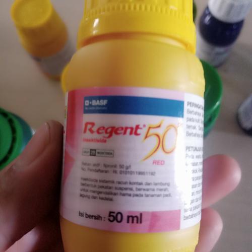 Jual Insektisida Regent racun semut - Kota Medan - diva's greenshop ...