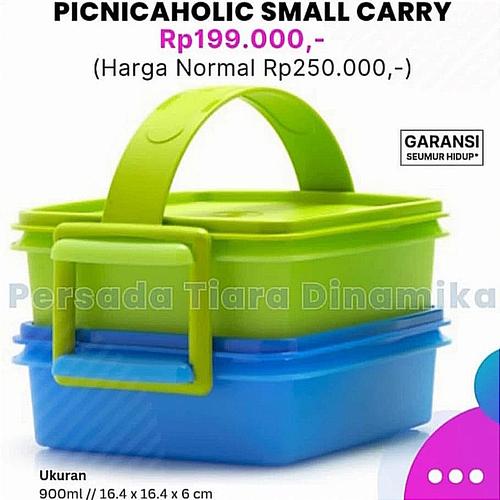 Jual Tupperware Picnicaholic Small Carry | Wadah Makanan Mungil Piknik ...