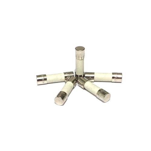 Jual Fuse Keramik T8AH 5x20 8A 250V Sekring 5x20mm T8AH250V 8A 250V ...