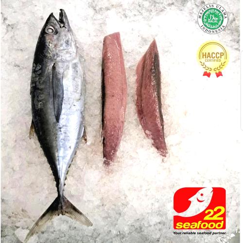 Jual Ikan Baby Tuna / Baby Tuna Fillet 500 gr / Loin Baby Tuna ...