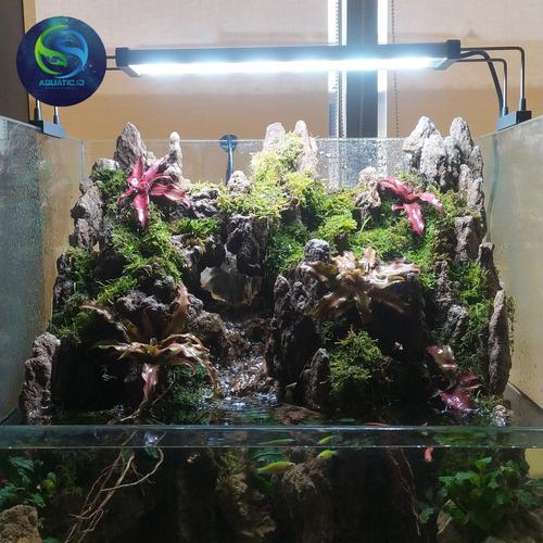 Jual Aquascape paludarium tema gunung 40 x 30 x 35 Cm - Jakarta Selatan ...