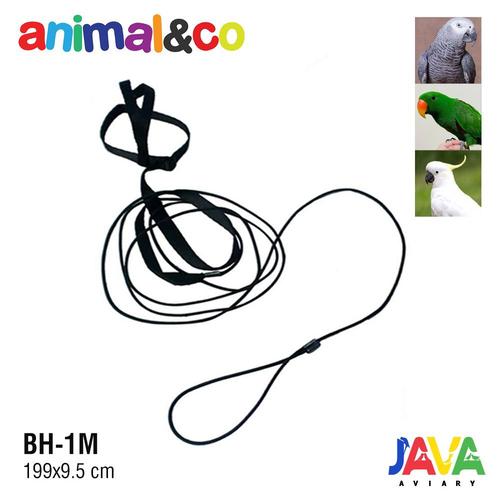 Jual AnimalnCo Harness Burung size M Harness Parrot kecil Conure ...