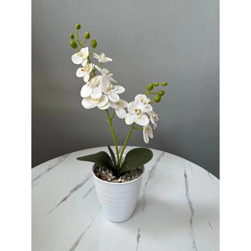 Jual Bunga Artificial Anggrek Putih Sudah Termasuk Pot Tanaman Pelastik ...