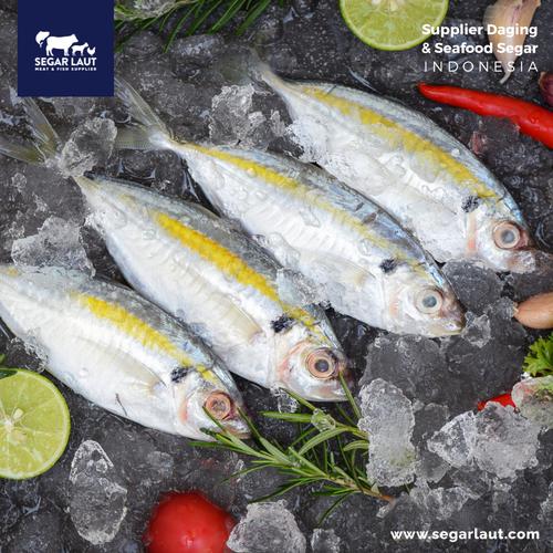 Jual Ikan Selar | FRESH - Jakarta Barat - Segar Laut Meat & Fish ...
