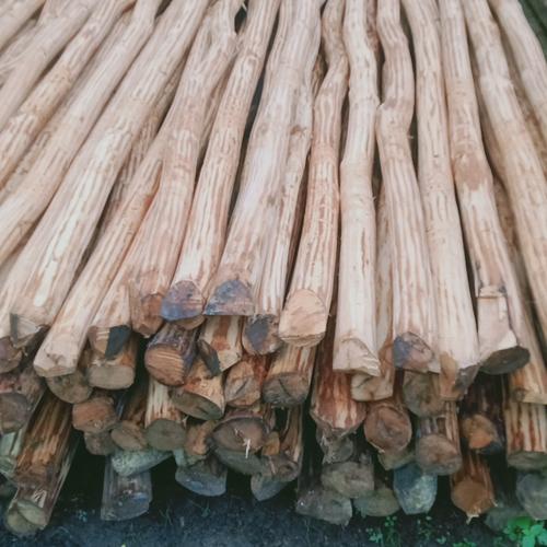 Jual kayu dolken keras dm up 8 cm/kupas - Kab. Bogor - pangkalan kayu ...