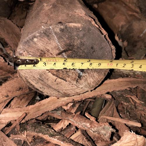 Jual kayu dolken keras kupas u/ Up 10 - Kab. Bogor - pangkalan kayu ...