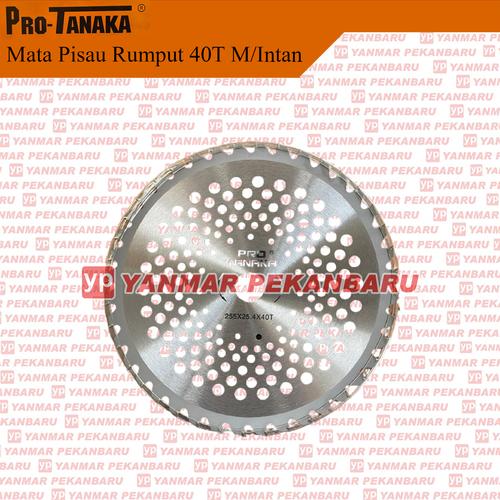 Jual Mata Pisau Potong Mesin Rumput 40T M/ Intan 328 - BIASA - Kota Pekanbaru - Yanmarindo ...
