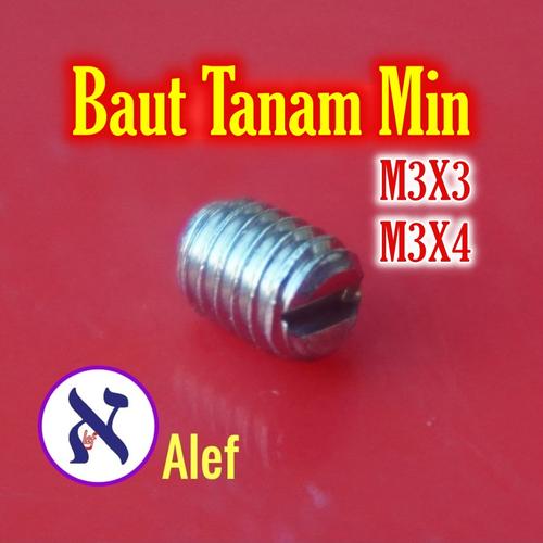 Jual Baut Tanam M3 x 3 4 min minus Stenlis 3 x 3 4 mm - Tanam MIN M3X4 ...