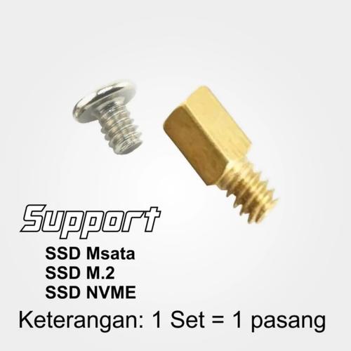 Jual Baut Sekrup Screw Mur SSD M2 M.2 NVME MSata M Sata 1 Pasang Isi 2 ...