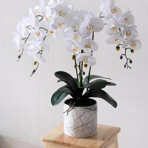 Jual rangkaian bunga anggrek bulan palsu - Regular - Jakarta Timur ...