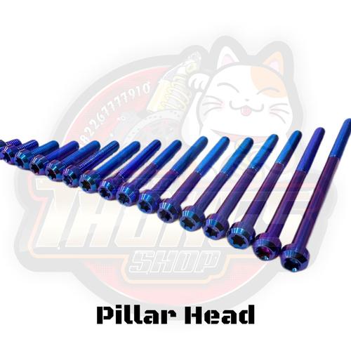 Jual BAUT TITANIUM PILLAR HEAD / SMALL HEAD M5X10,15,20,25,30 GR5 ...