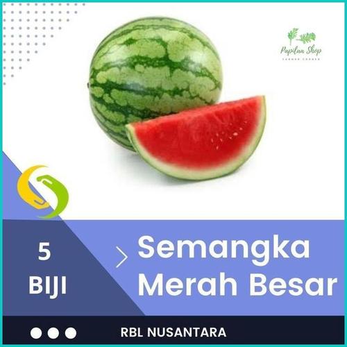 Jual 5 Benih Semangka Bibit Buah Semangka Merah Jumbo Bulat F1 Made ...