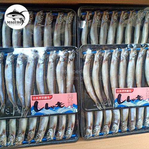 Jual Ikan Shisamo Capelin - Jakarta Barat - Maguro House of Seafood ...