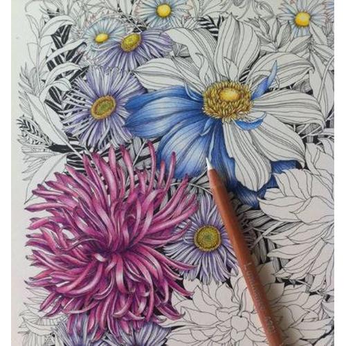 Jual Coloring Page - Spring Flower Series - Mewarnai Seri Bunga 001 ...