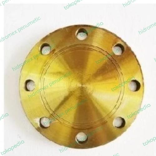 Jual BLIND FLANGE BESI FLANGE BUTA BESI STEEL 8" INCH - Jakarta Barat ...