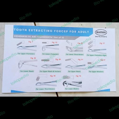 Jual SET TANG CABUT GIGI STAINLESS - Dewasa set 10 - Jakarta Selatan ...