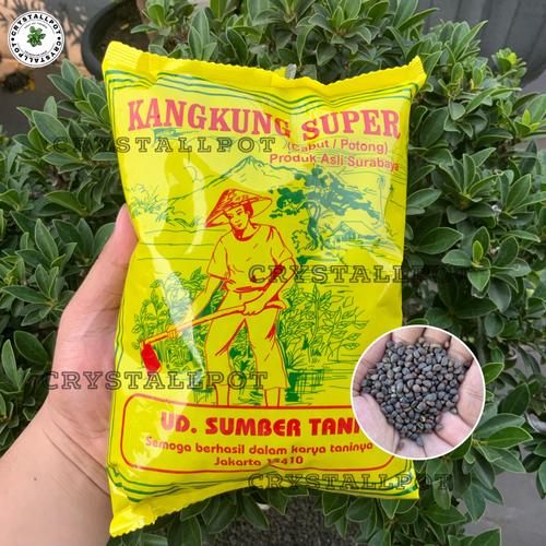 Promo Benih Bibit Kangkung Super Sumber Tani 1 Kg - KANGKUNG KEMASAN 1 ...