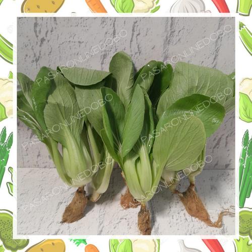 Jual Sayur pakcoy hidroponik kemasan / bakcoy hidroponik - Kota ...