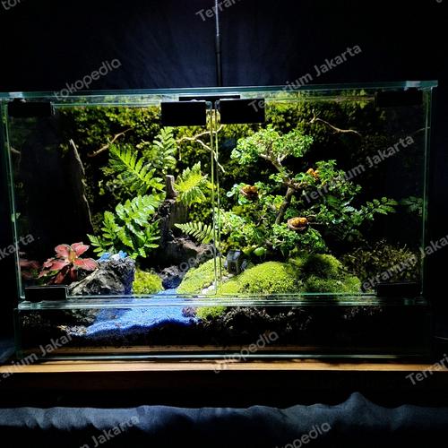 Jual Closed Terrarium - Big size | Premium Terra - Jakarta Selatan ...