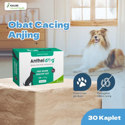Promo Anthel Dog 1 Box @30 Tablet - Obat Cacing Anjing by Kalbe ...