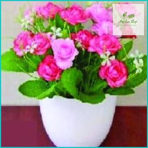 Jual Gogoland ORNAMEN TANAMAN BUNGA PLASTIK DEKORASI RUMAH TANAMAN HIAS ...