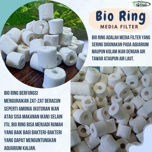 Jual BIORING / BIO RING / CERAMIC RING - Kab. Sukoharjo - Petromax One ...