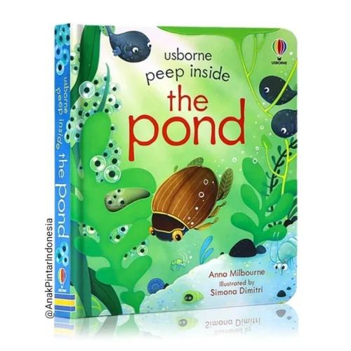 Jual USBORNE PEEP INSIDE THE POND - Kota Surabaya - AnakPintarIndonesia | Tokopedia