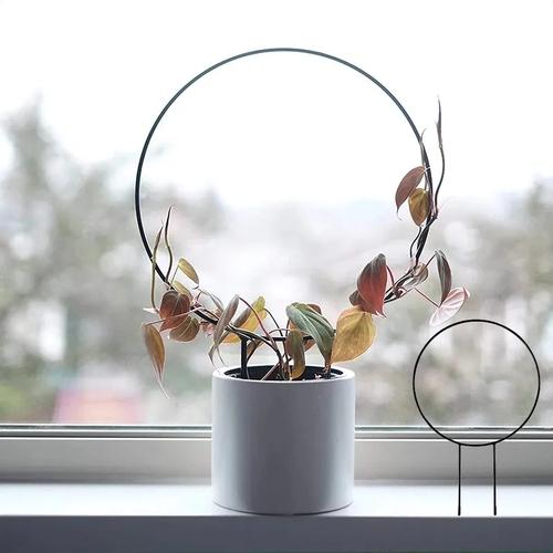 Jual ring besi tanaman / dudukan tanaman rambat / ring besi bulat ...