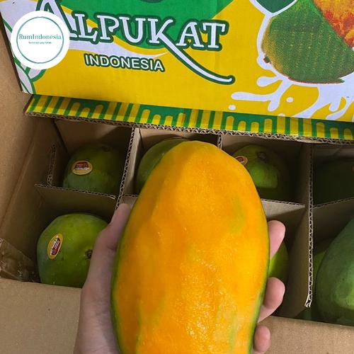 Jual mangga alpukat 1 dus 5kg matang pohon GARANSI MANIS - 5KG ...
