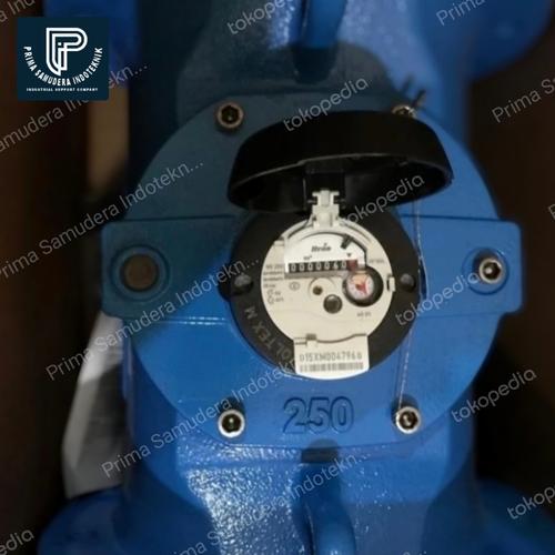 Jual Water Meter Itron 10 Inch / Meteran Air Itron DN250 (250mm ...