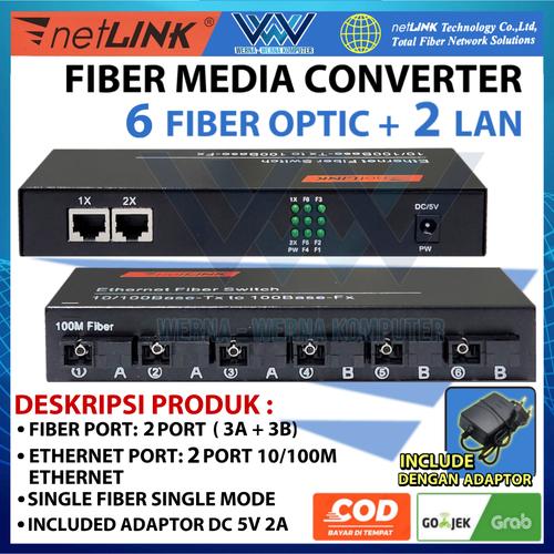 Jual Media Konverter 6 FO 2 LAN 10/100 Ethernet Fiber Optic Converter ...