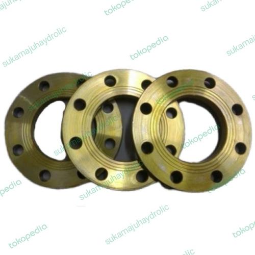 Jual flange las besi PN16 RF 80 DN80 NS melek 3 inch plenes - Jakarta Barat - sukamajuhaydrolic ...