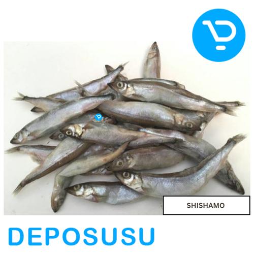 Jual Shishamo Capelin Ikan bertelur Shisamo - 500gr Shisamo - Jakarta ...