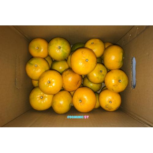 Jual Jeruk Murcot Honey Lokal (Indo Murcot) 1 KG - 20 KG - Kota ...